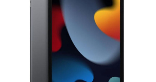 Tablette Apple Neuf IPad 9 Gen 10.2 (2021) 64 Go Argent 10.2 2019 A2197